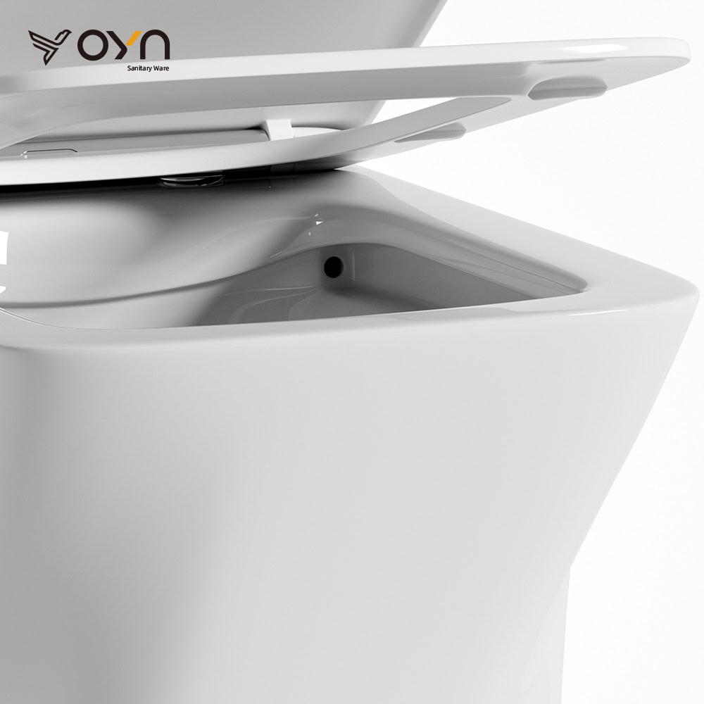 GB99 Wall-hung Toilet | Rimless | Dual Flush | Washdown | P-trap 180mm